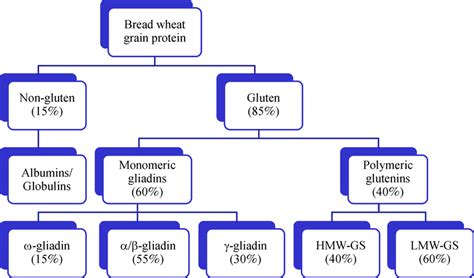 Classification Of Wheat Grain Proteins Download Scientific Diagram