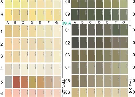 Pin By Designer Yuvraj Mo No 63518 On Pantone Color Swatch Pantone Color Combos