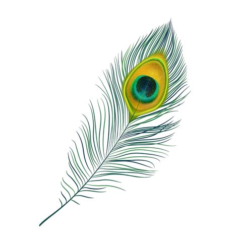 Premium Vector Peacock Feather Isolated Icon