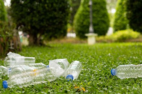 플라스틱 병의 클로즈업 손 자원봉사자들은 숲 배경에 쓰레기 봉투에 플라스틱 병을 수거한다 생태 개념 쓰레기를 줍는 젊은 남자 자원 봉사자공원에서 재활용 플라스틱 병을 수집