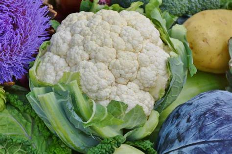 Parsnip Companion Planting Chart Companion Planting Chart