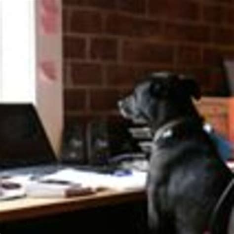 JROTC Stuff Teaching Resources Teachers Pay Teachers