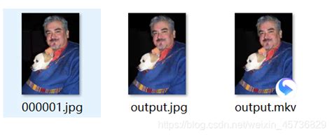 【ffmpeg命令】使用x264库进行图像视频（批量）压缩编码 Cv Libx264 Csdn博客