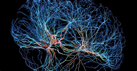 Co Occurring Patterns Of Lambda Waves