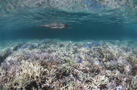 Bemil 쉼터 유용원의 군사세계