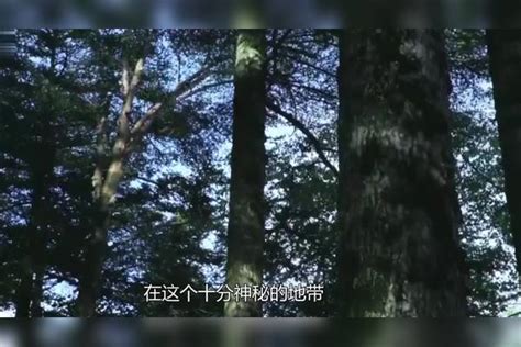 我国境内最为“神秘”的两个地方，一个在湖北、另一个则在四川！湖北地方四川