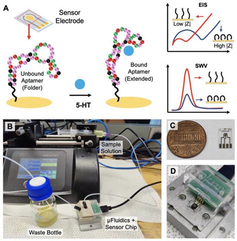 Continuous Real Time Detection Of Serotonin Using An Aptamer Based