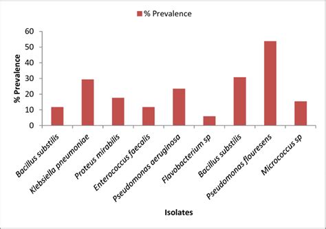 Percentage Prevalence Of The Bacterial Isolates From The Different Download Scientific Diagram