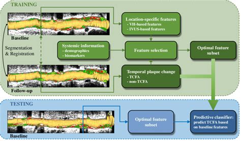 Tcfa Classifier Training And Its Use For Tcfa Prediction Lumen Shown Download Scientific
