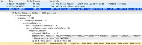 Reproducing Sms Over Nas Spoofing In A Private 5g Mobile Network