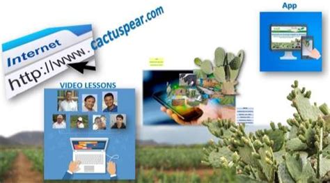 Trends Dynamics And Contextualization Of Teaching Learning Process Download Scientific