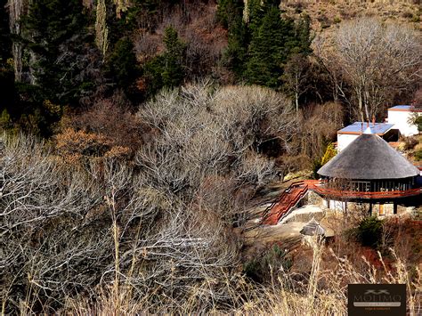 Molimo Nthuse Images Photos Videos Logos Illustrations And