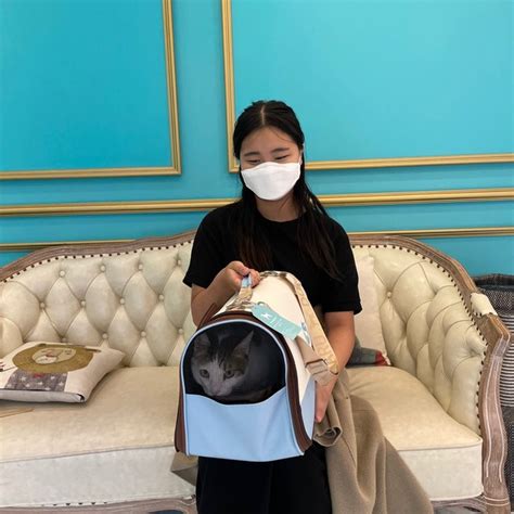 수원 2021 0205 코리안숏헤어 두부 책임분양 아비시니안키우는방법 터키시앙고라키우는방법 페르시안키우는방법 애완견키우는방법 반려견키우는방법 소형견보호소 중형견보호소