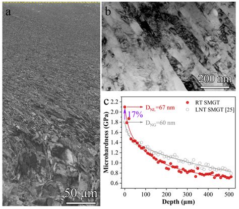 A Typical Sem Image Showing The Gradient Microstructure Of Smgt