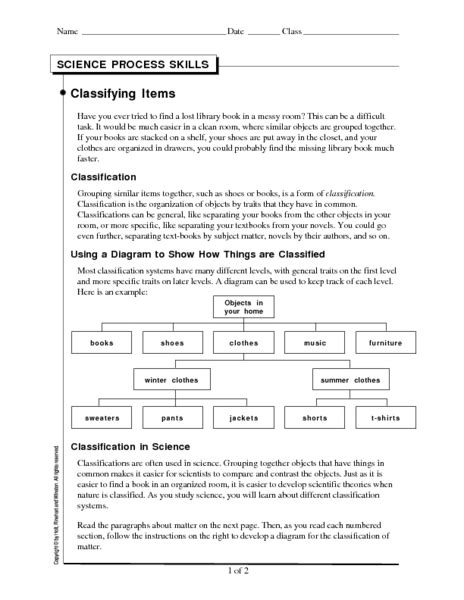 Classifying Items Organizer For 7th 10th Grade Lesson Planet