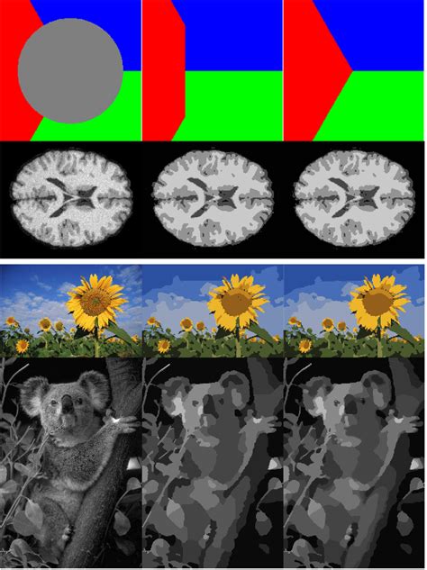 Open Access A Continuous Max Flow Approach To Potts Model 2010 Jing Yuan 186 Citations