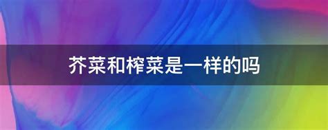 西江千户苗寨在贵州哪里地图 西江千户苗寨在贵州哪里 苗寨 傻大方