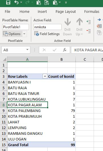 Pivot Table Excel