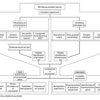 Schematic Representation Of Sex Reversal Characteristics In P Download Scientific Diagram