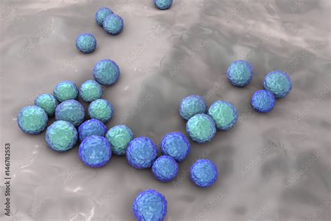 Bacteria Enterococcus On Surface Of Skin Or Mucous Membrane 3d Illustration Gram Positive