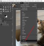 2 Quick Ways To Turn A Photo Into A Cartoon In GIMP