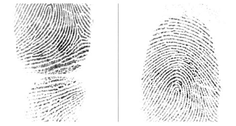 Example Of Reduced Overlap Between Two Fingerprint Images Download Scientific Diagram