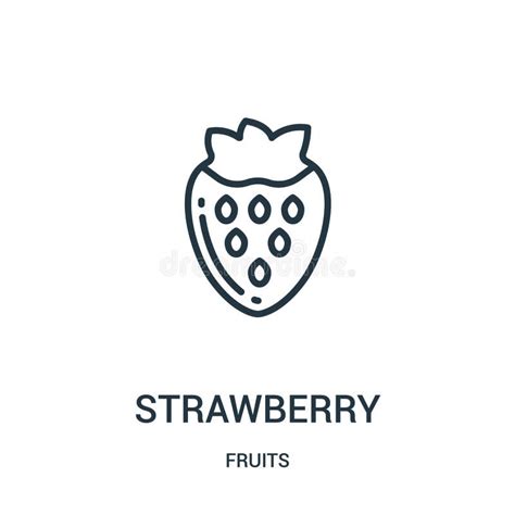 Strawberry Icon Vector From Fruits Collection Thin Line Strawberry Outline Icon Vector