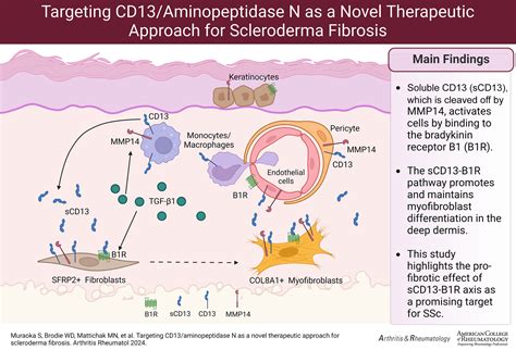 Arthritis And Rheumatology Vol 77 No 1