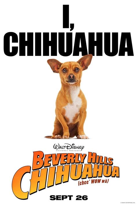 Beverly Hills Chihuahua 2 Of 5 Extra Large Movie Poster Image Imp