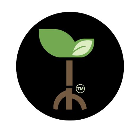 Los Vertederos Y El Manejo De La Basura En Puerto Rico Proyecto Raíces
