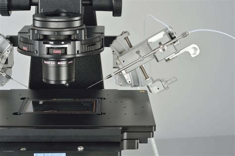 Microinjection Life Sciences Solutions Nikon Instruments Inc