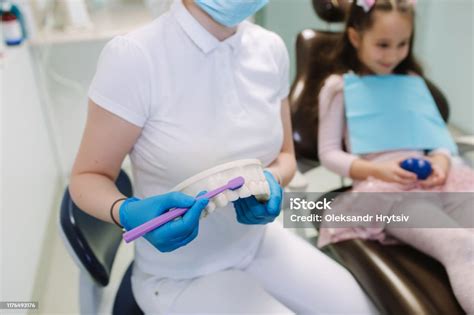 치과 의사는 치아가있는 턱 모델을 보유하고 있습니다 흰색 유니폼과 파란색 장갑 Radiographer에 대한 스톡 사진 및 기타 이미지 Radiographer 감지기