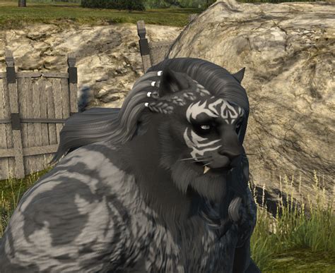 The Bold And The Braid On Hrothgar R Ffxiv