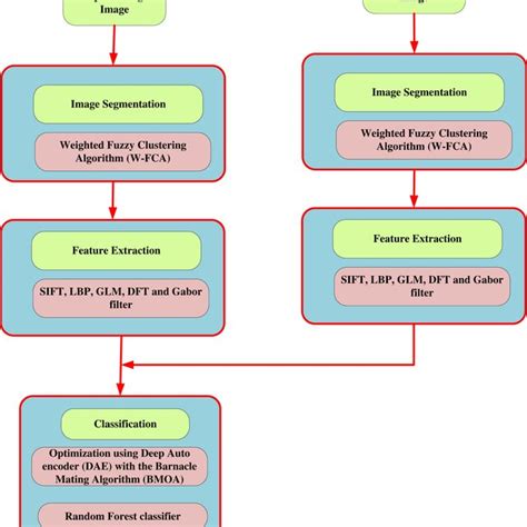 Overall Structure Of The Proposed Brain Tumor Classification System