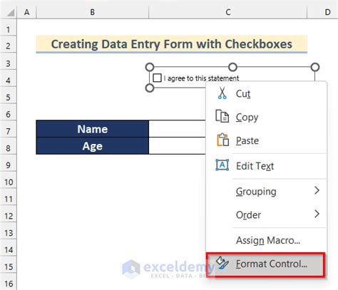 Create An Excel Data Entry Form That Includes Checkboxes