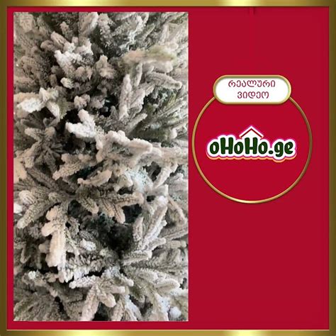 ნაძვის ხე გრელანდია Youtube