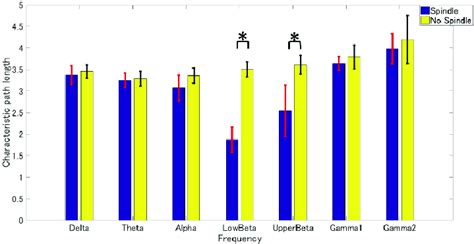 Characteristic Path Lengths In The Presence And Absence Of Spindle
