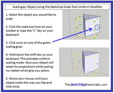 Modifying D Shapes In SketchUp Using The Scale Tool