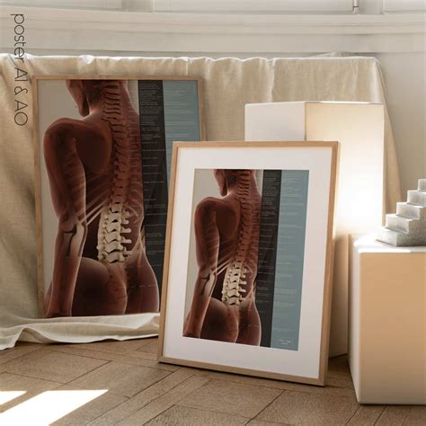 Spinal Subluxation Effects Educare Design