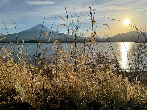 Mastering Large Language Models From Scratch — 10 Blog Series By