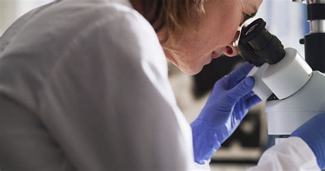 실험실에서 현미경으로 작업하는 여성 과학자와의 과학 암 및 연구 약물 실험 분석을 수행하는 여성 건강 전문가와의 혁신 발견 및 의료 혁신 연구에 대한 스톡 사진 및 기타