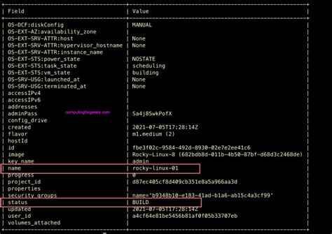 Best Linux File Managers You Can Use In 2024 Computingforgeeks