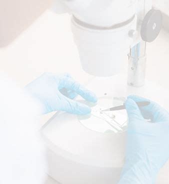 Propolis Astragrace Support Your Immunity