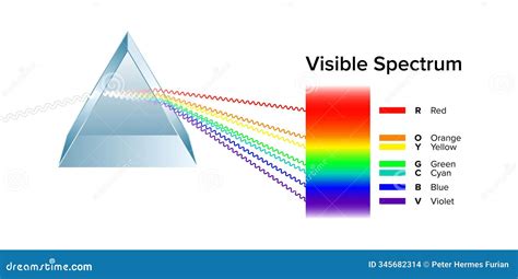 Triangular Prism Nets Faces Edges And Vertices Geometric Figures Are Set Isolated On A White