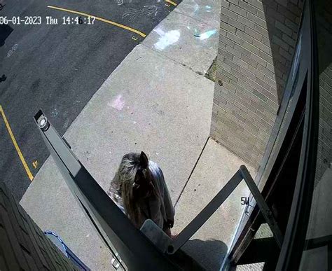 Htd Images Object Detection Dataset By Evolution