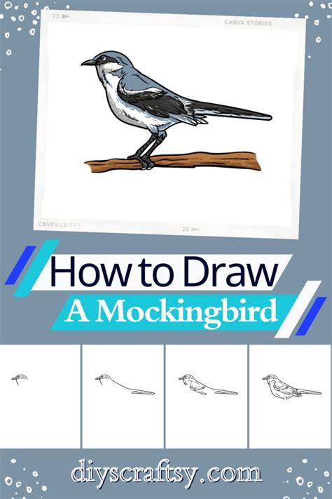 Mockingbird Drawing Ideas How To Draw Mockingbird DIYsCraftsy
