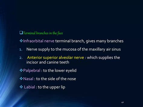 Trigeminal Nerve Pptx Brain And Nervous System Disorders Diseases And Conditions