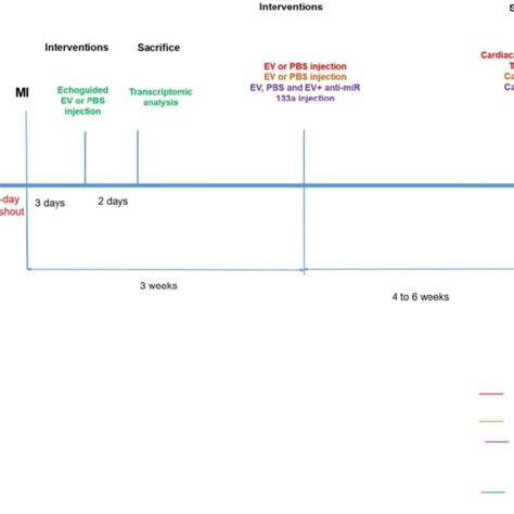 Experimental Protocols Download Scientific Diagram