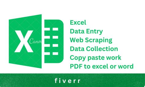 Do Web Scraping And Data Entry On Ms Excel By Sabainsaf Fiverr