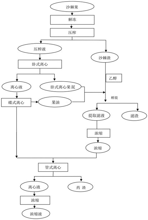 药用沙棘果汁生产方法与流程 药用沙棘果汁生产方法与流程